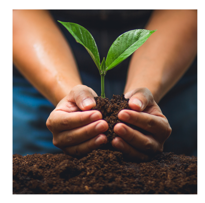 Wealth DFM: Global Returns Project launches £150k Ready for Earth Day ...