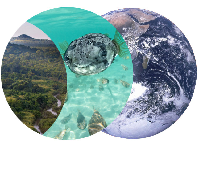 Home • Global Returns Project