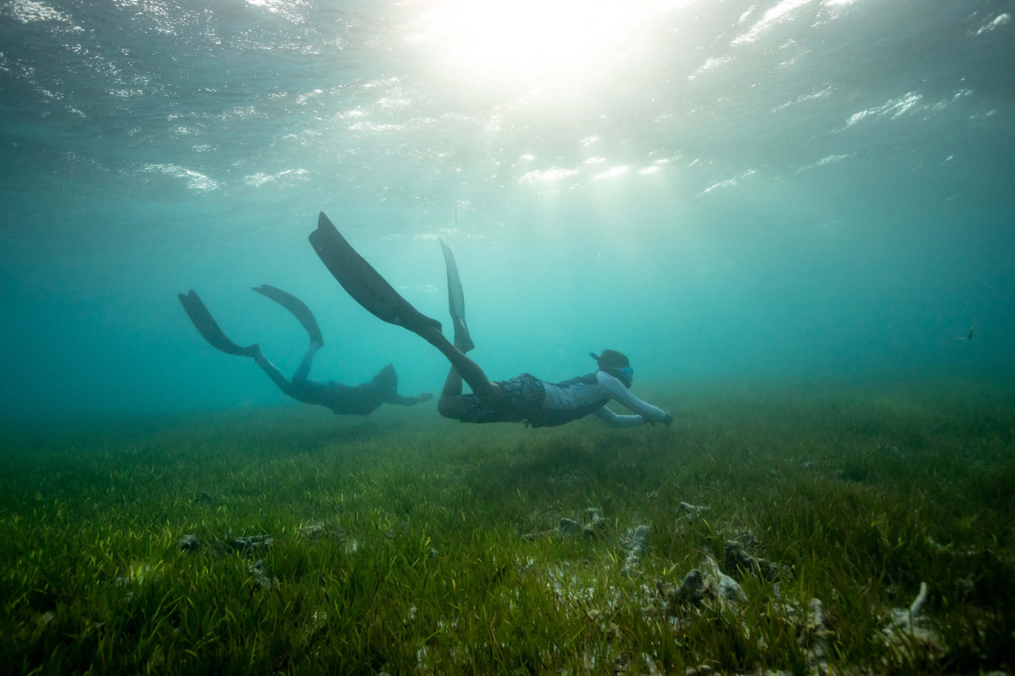 Blue Marine Foundation : Ocean Conservation Charity