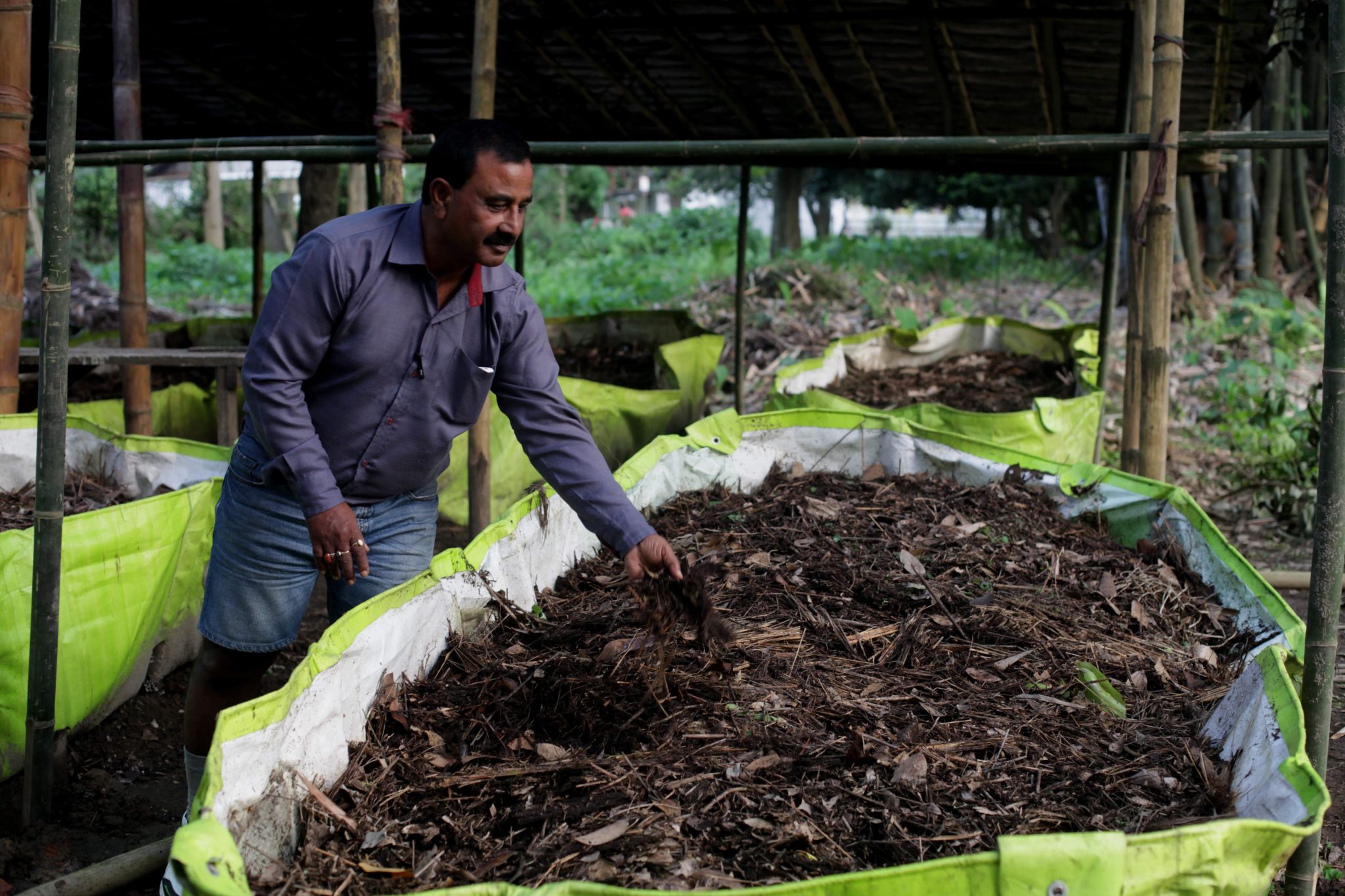 Rainforest Alliance : Regenerative Agriculture to Protect Nature