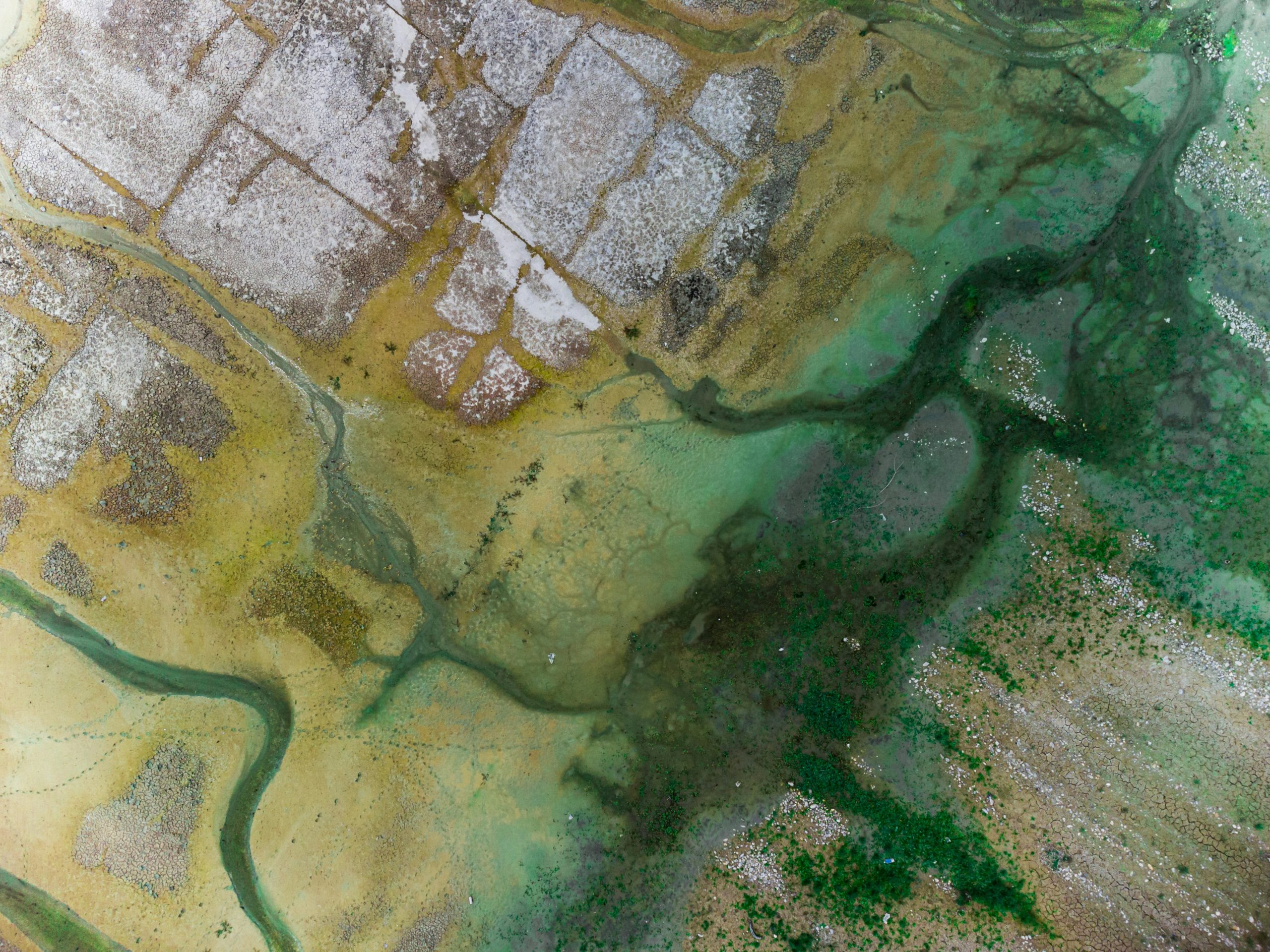 ESG: solution, distraction, or both? • Global Returns Project