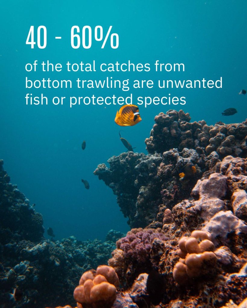 The importance of banning bottom trawling • Global Returns Project